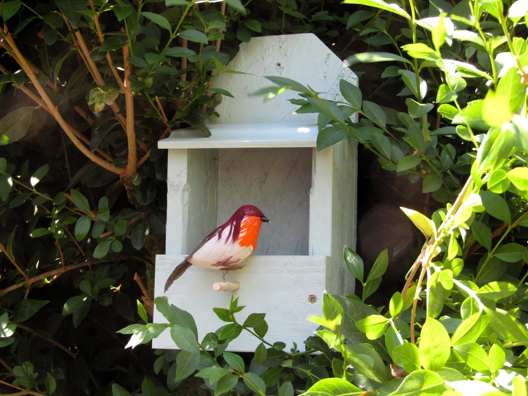Green Wooden Robin Wild Bird Nesting Box Wren Nest Wagtail Garden House ...