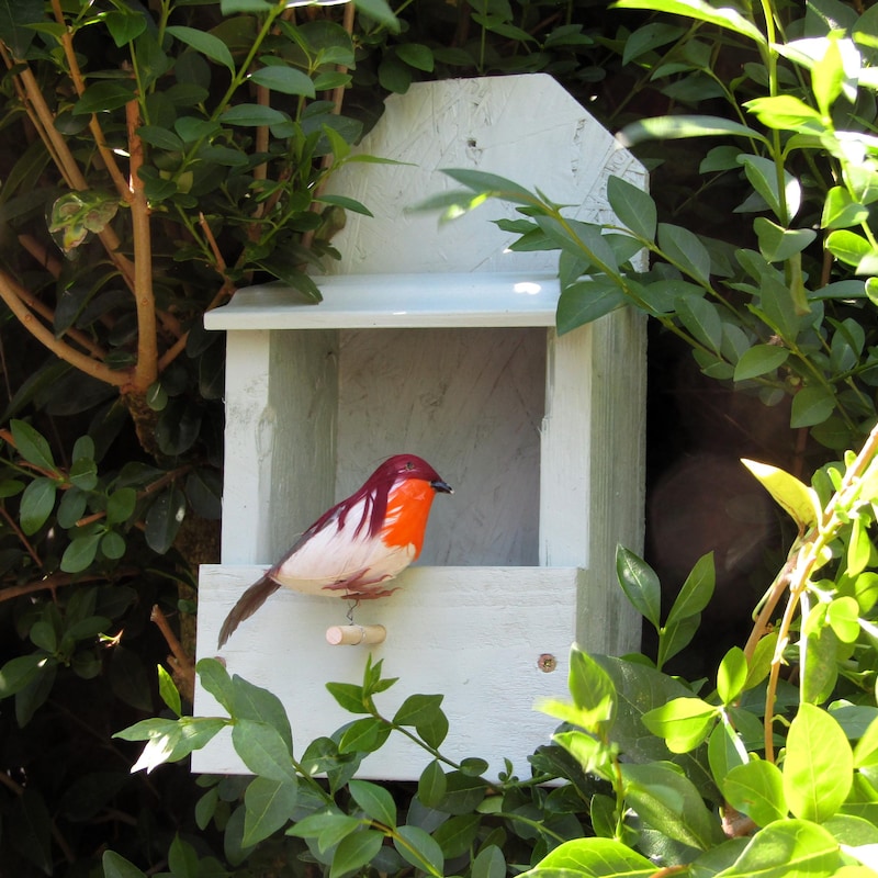 Red Robin Birds Nest - Etsy UK