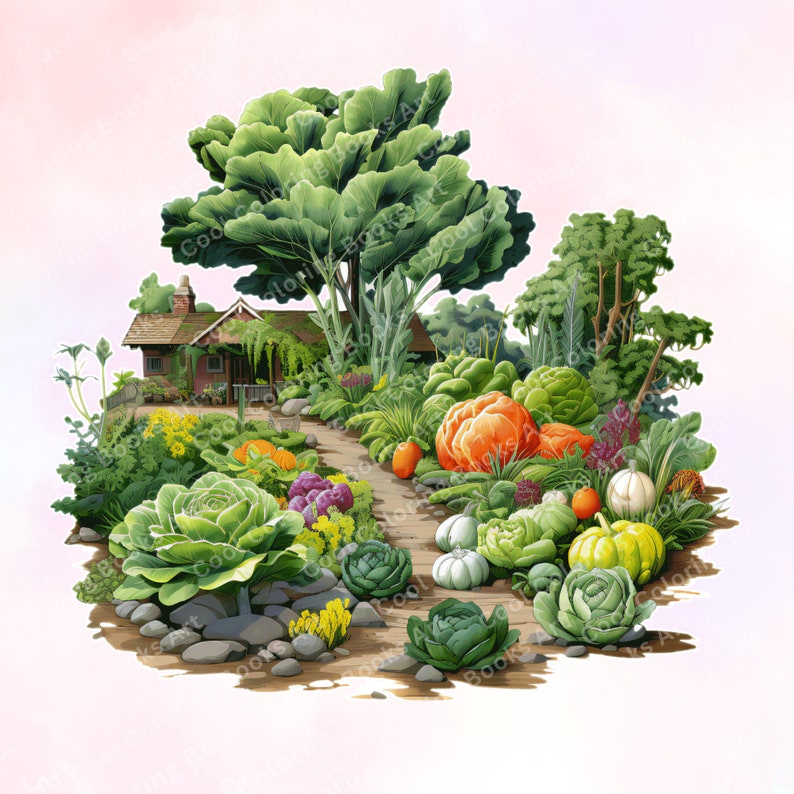 20 Garden Clipart Vegetable Garden Vegetables Clipart - Etsy