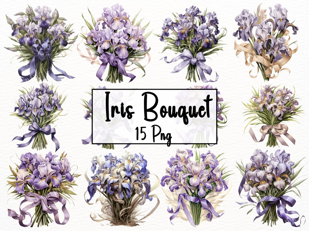 16 PNG Watercolor Iris Clipart, Printable Purple Spring Flower Art ...