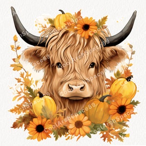 12 Highland Cow Fall PNG Bundle , Highland Cow PNG , Highland Cow ...