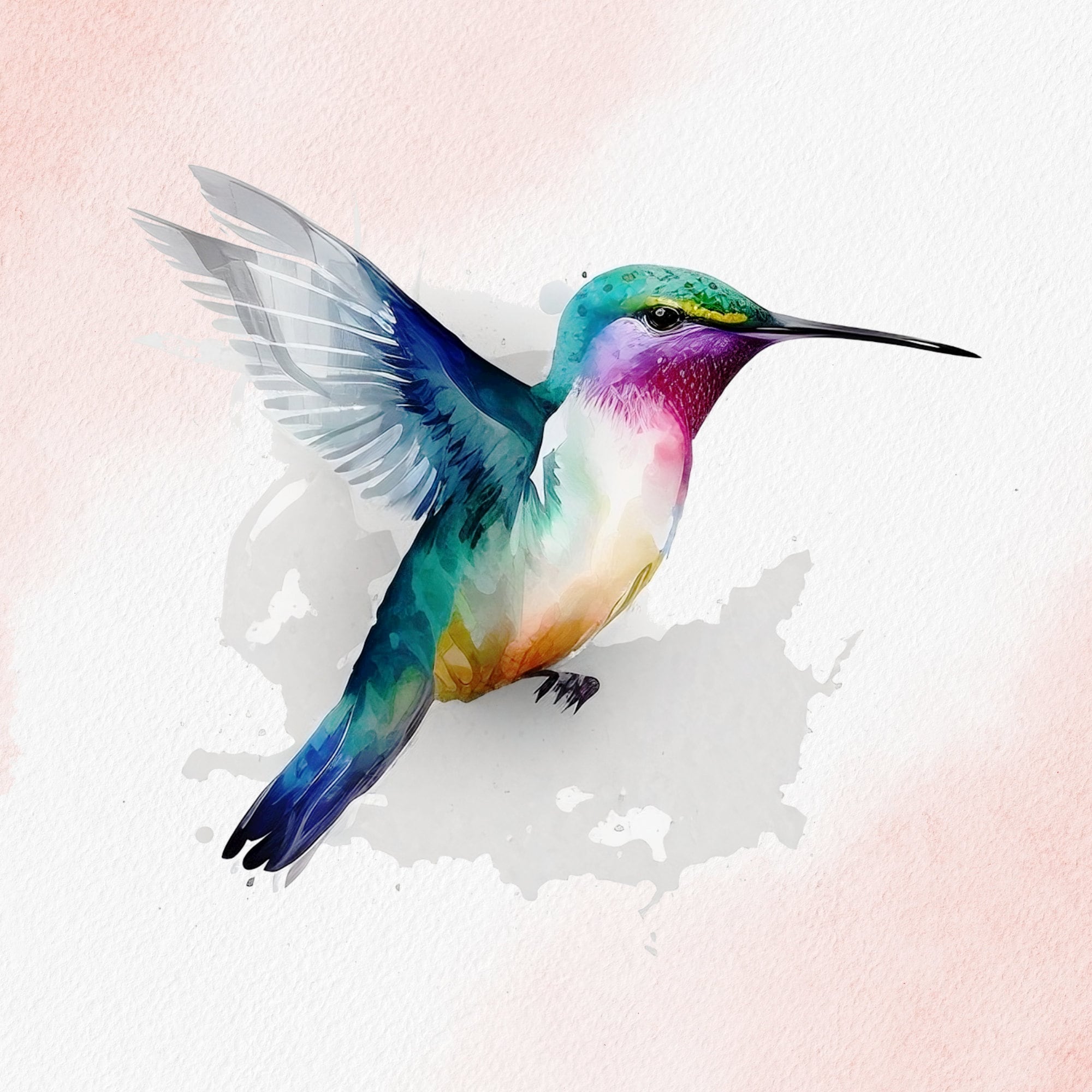 16 Watercolor Hummingbirds Clipart Springtime Cute Birds and - Etsy