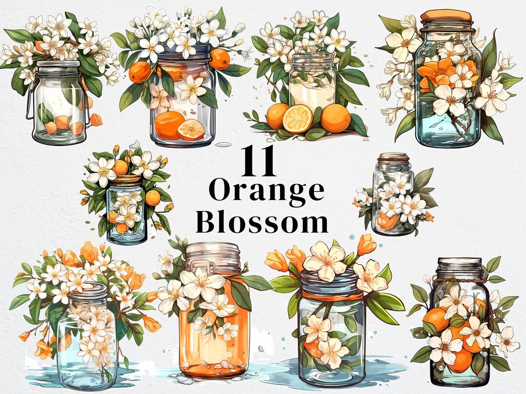 11 Watercolor Orange Clipart watercolor Oranges Png orange - Etsy