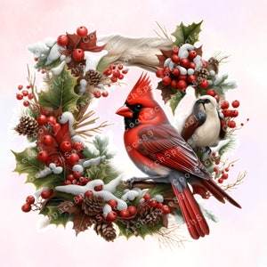 18 Christmas Red Cardinal Clipart PNG Bundle , Watercolor Clipart PNG ...