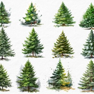20 PNG Watercolor Christmas Trees Clipart , Painted Tree Clipart ...