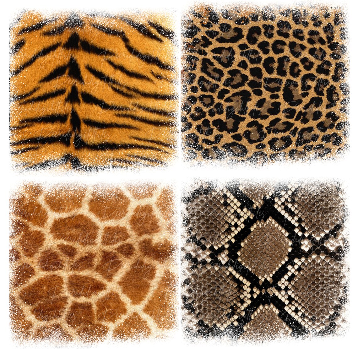 Distressed Leopard Background Png Background Splash Cheetah - Etsy