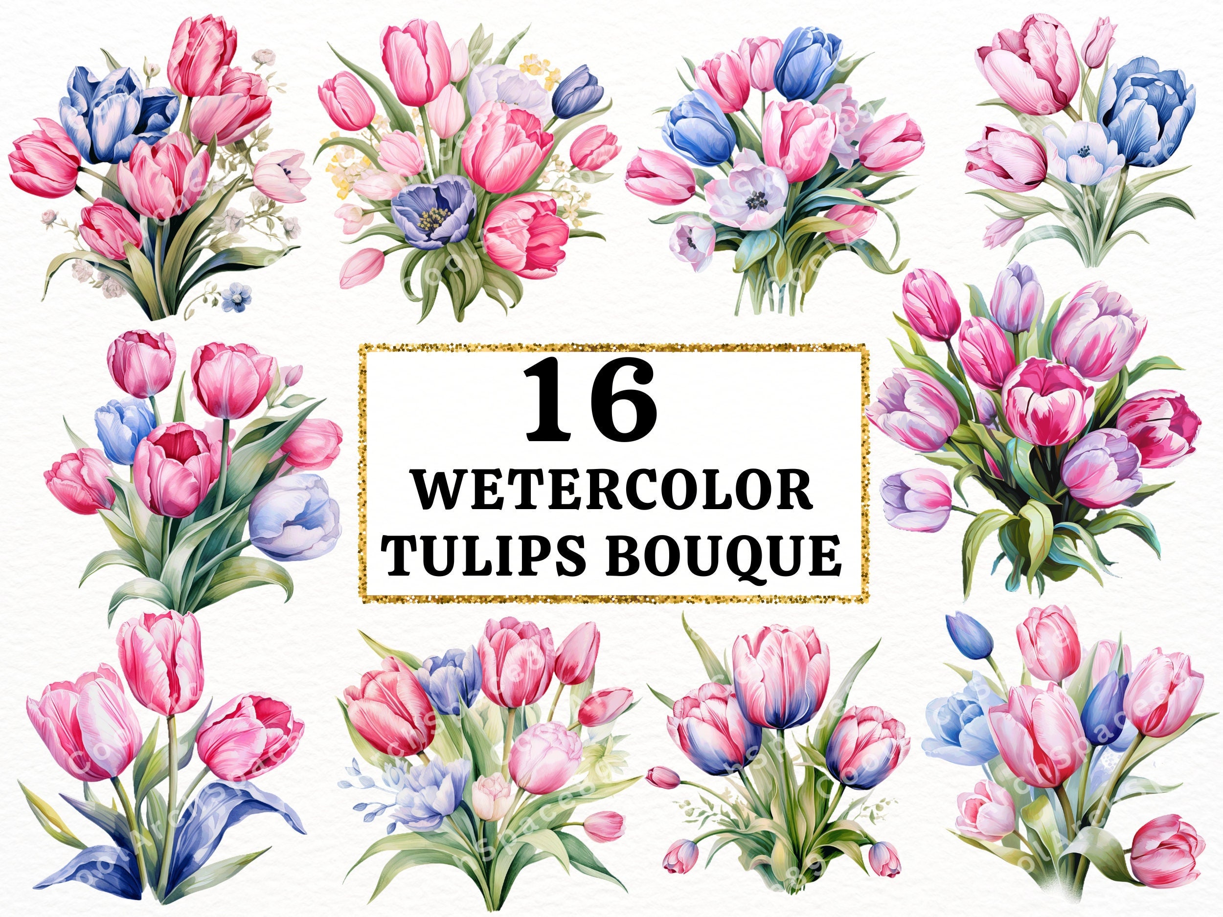 16 PNG Watercolor Tulips Clip Art ,tulips Pink White Blue Bouque PNG ...