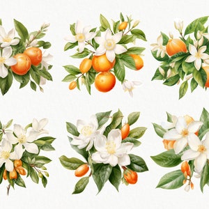 Orange Blossom Clipart: Citrus Wreath, Twigs (digital Download) - Etsy