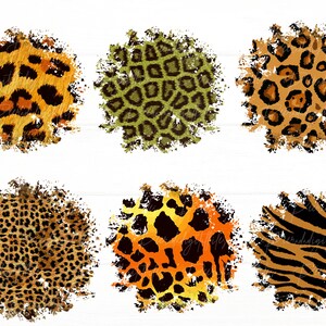 Distressed Leopard Background Png, Background Splash, Cheetah, Animal ...