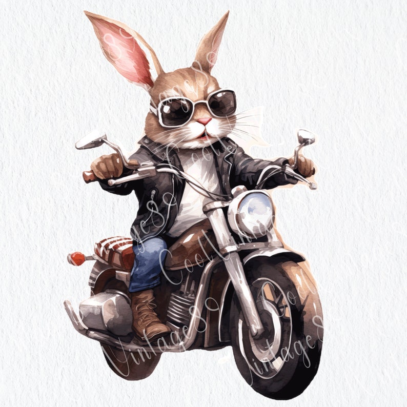 20 Watercolor Bunnies on Bikes Clipart PNG, Biking Bunny Watercolor ...