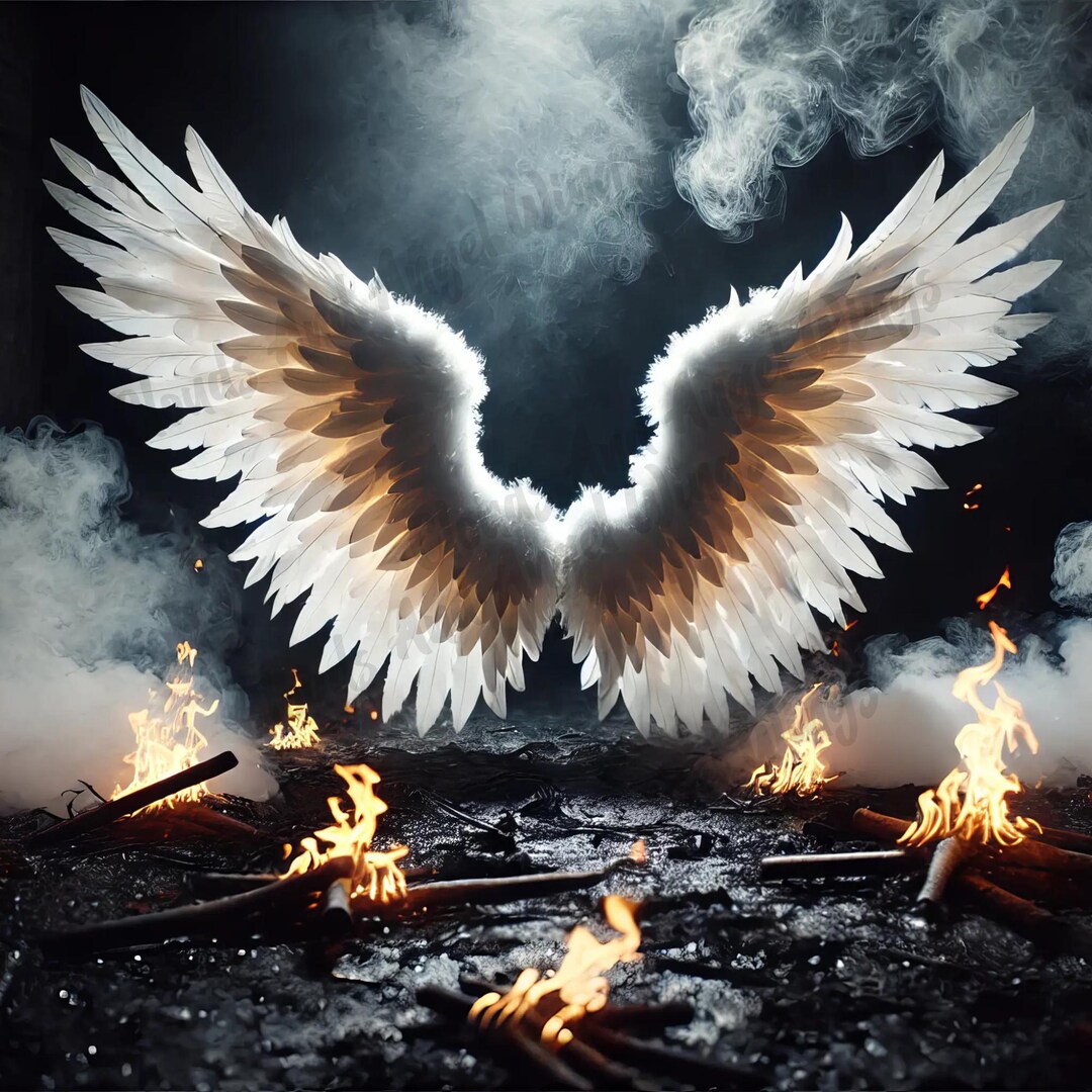 Fire Angel Wings Backdrops for Fantasy Photography, Digital Download ...
