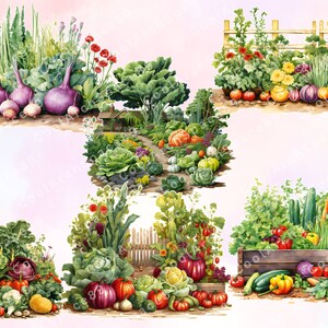 20 Garden Clipart, Vegetable Garden, Vegetables Clipart, Garden ...