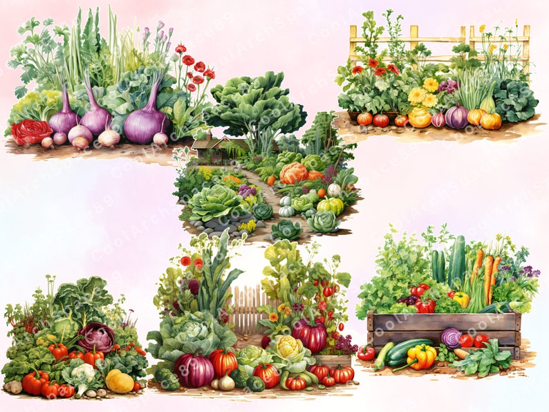 20 Garden Clipart Vegetable Garden Vegetables Clipart - Etsy
