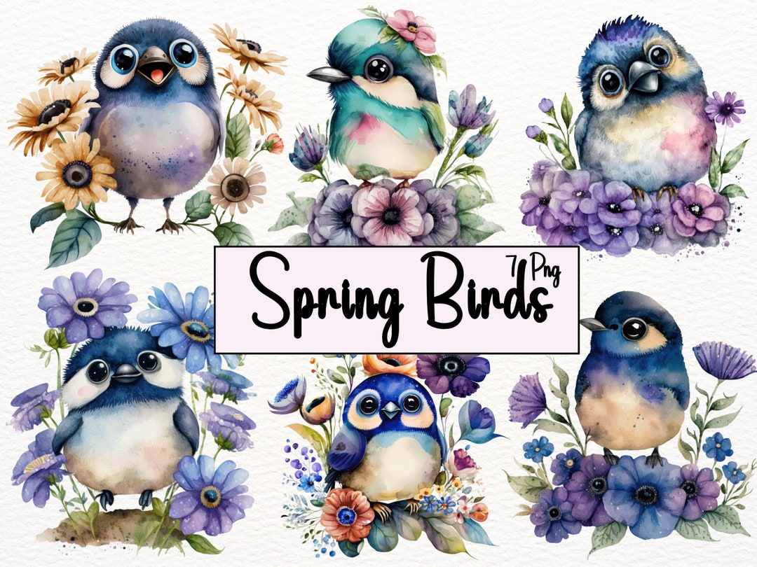 7 Watercolor Cute Bird , Watercolor PNG Clipart, Spring Bird Clip Art ...