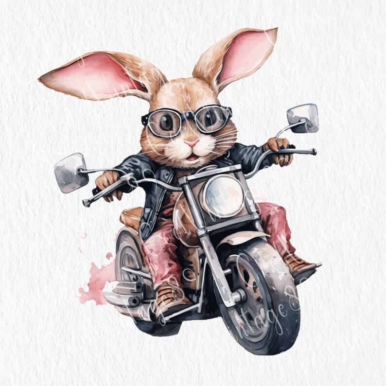 20 Watercolor Bunnies on Bikes Clipart PNG, Biking Bunny Watercolor ...