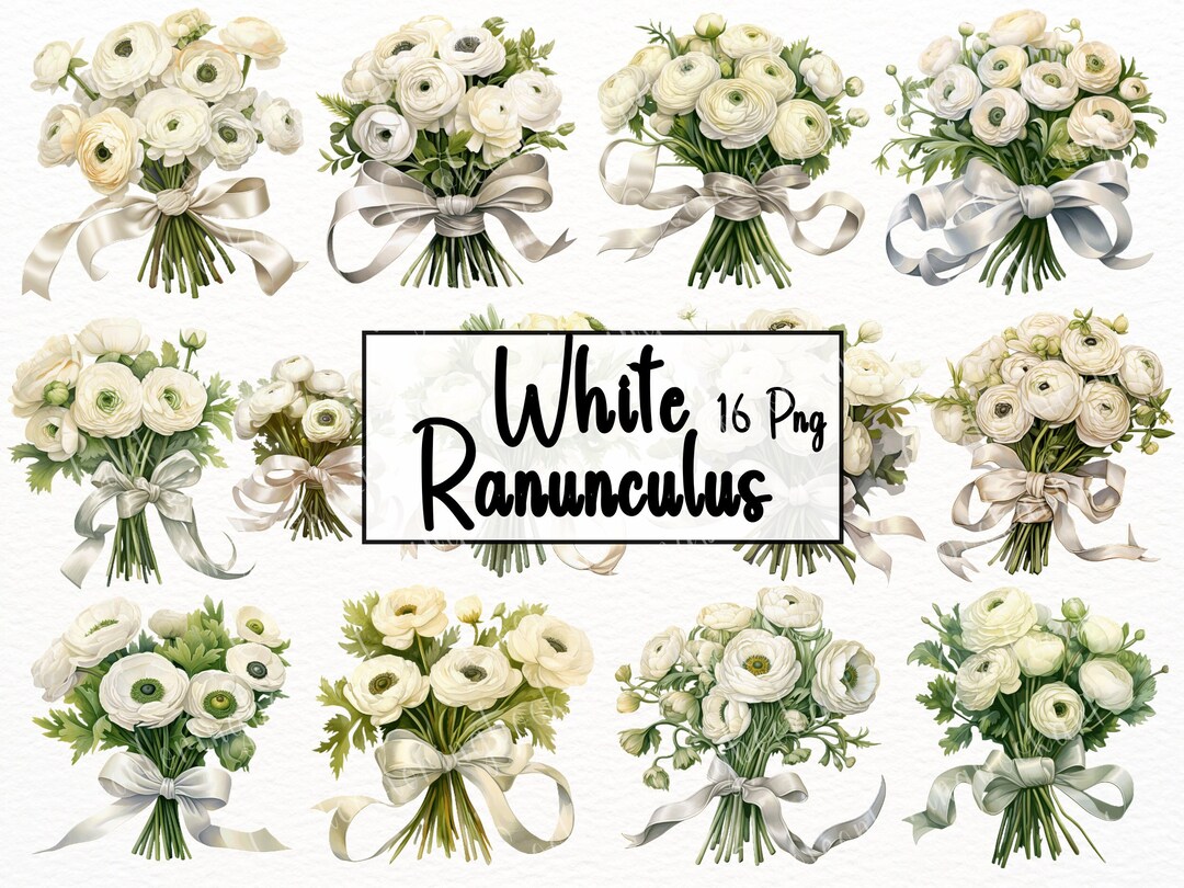 16 PNG White Ranunculus Png, White Ranunculus Png, Ranunculus Png ...