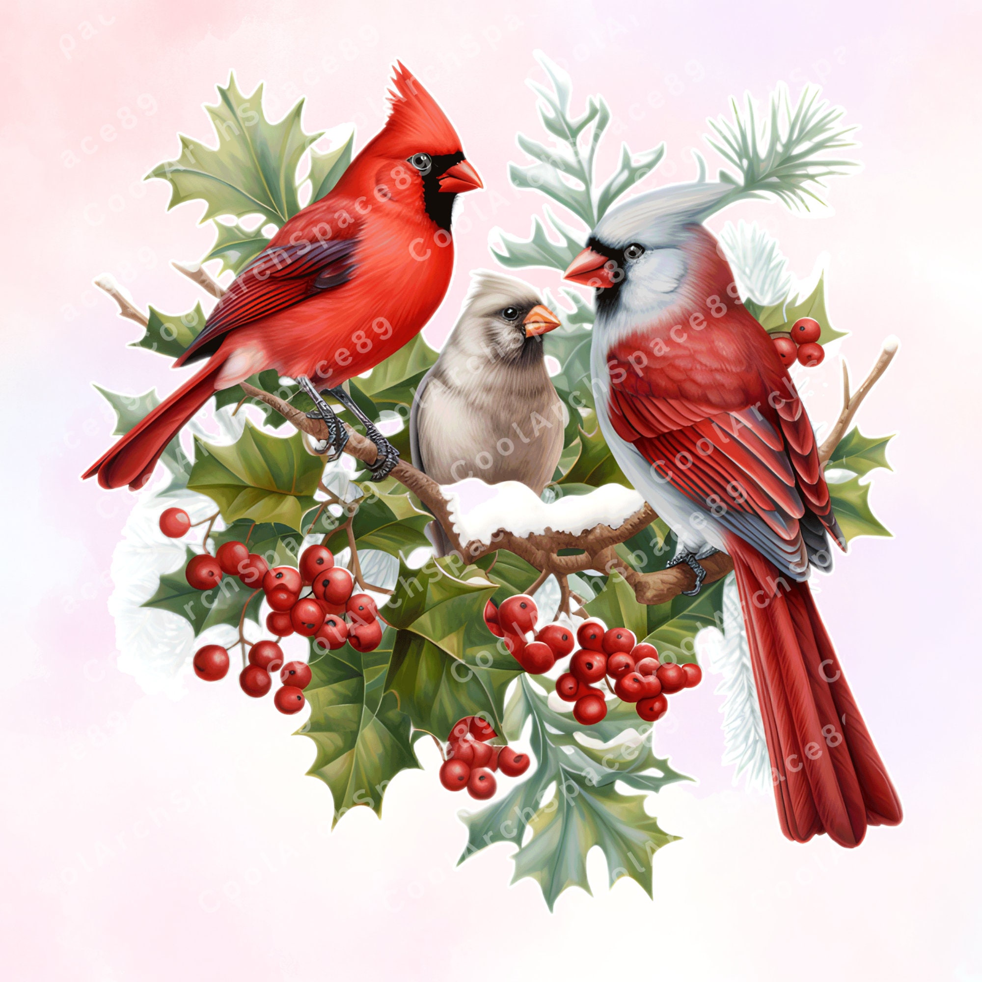 35 Christmas Red Cardinal Clipart PNG, Watercolor Clipart PNG, Bird ...