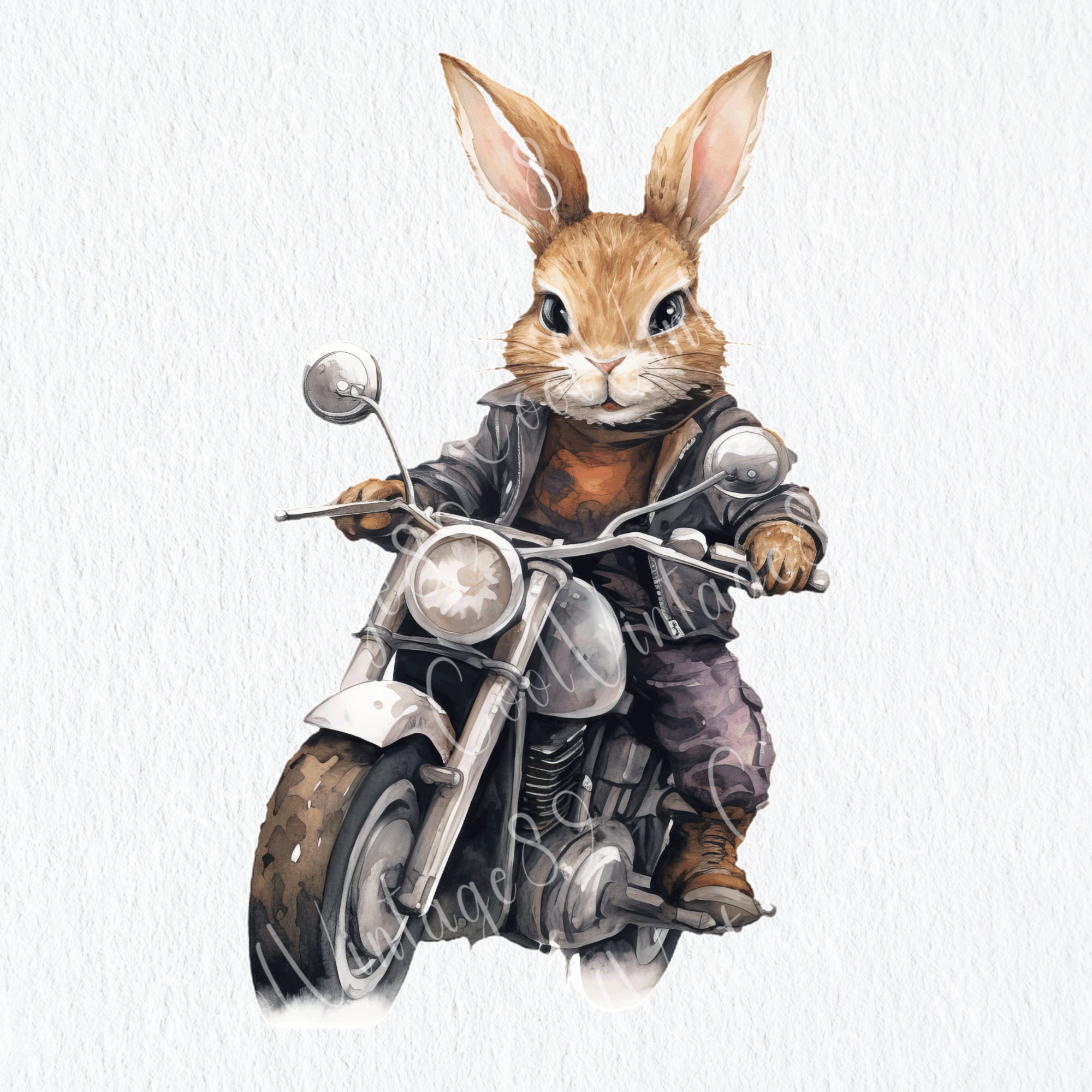 20 Watercolor Bunnies on Bikes Clipart PNG, Biking Bunny Watercolor ...