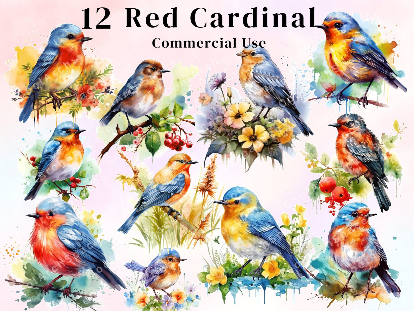 12 Red Cardinal Clipart, Watercolor Clipart, Bird Clipart, PNG ...