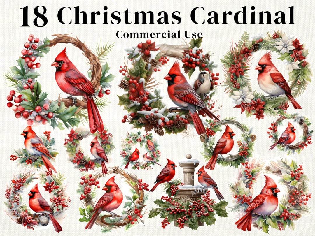 18 Christmas Red Cardinal Clipart PNG Bundle , Watercolor Clipart PNG ...