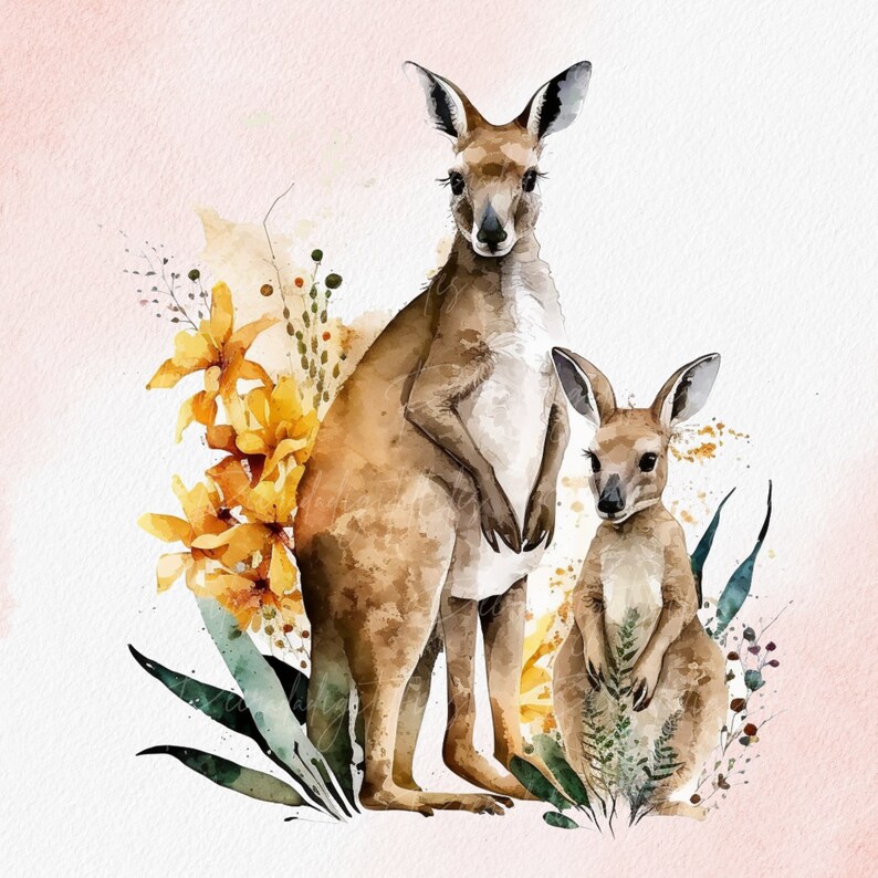 8 Watercolor Kangaroo Clipart, Sublimation Files , Nursery Decor Wall ...