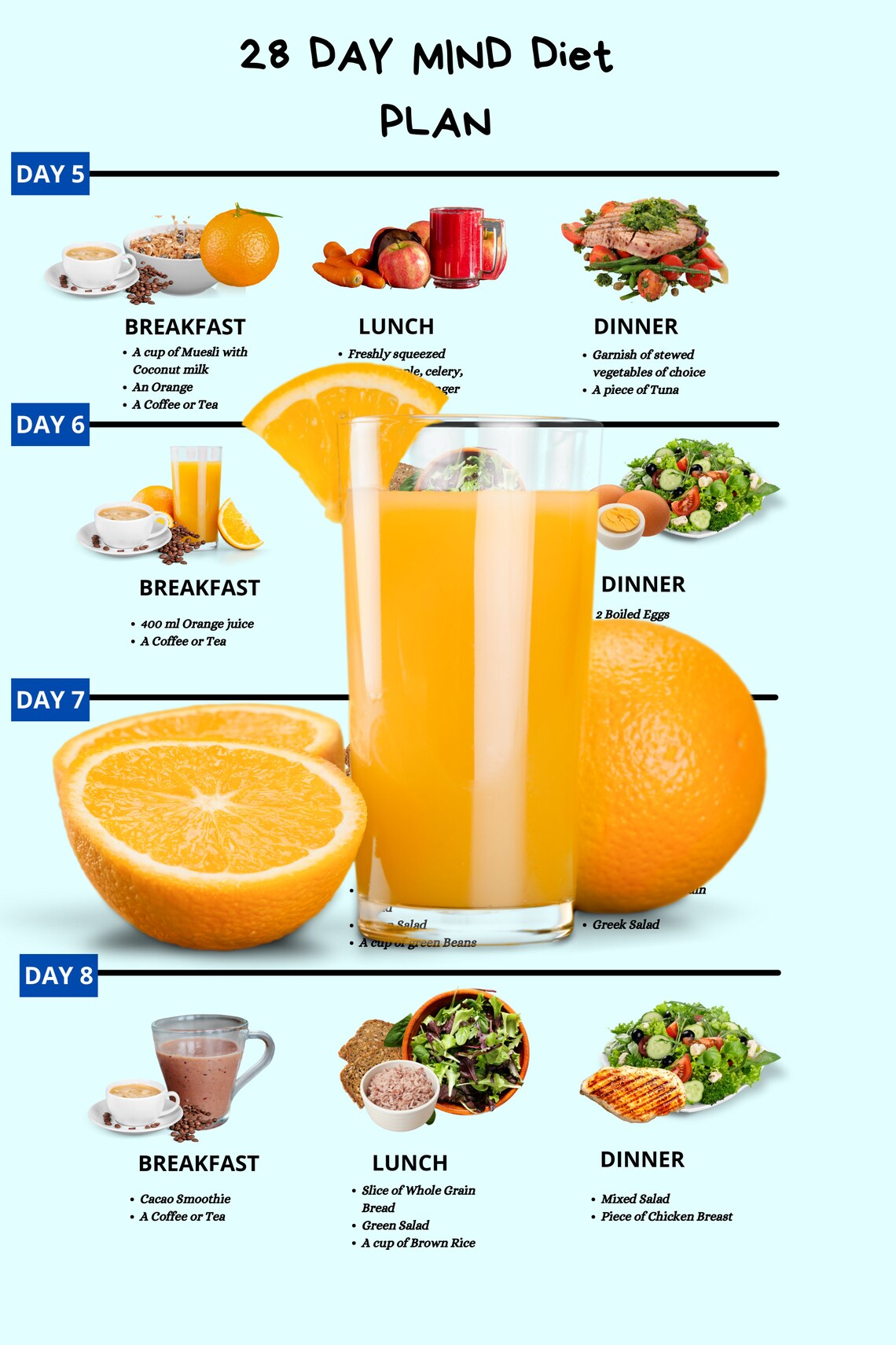 28 DAY MIND Diet PLAN - Etsy