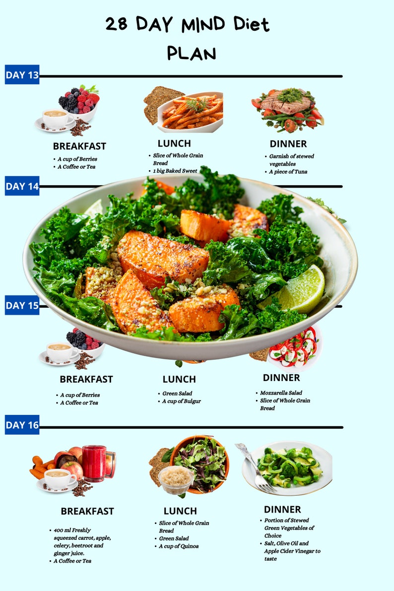 28 DAY MIND Diet PLAN - Etsy