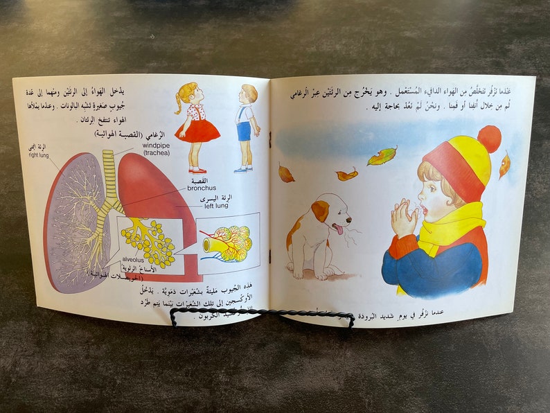 Arabic Books / Everything About Our Body - Etsy