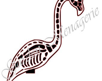 Skeleton Flamingo Svg | Etsy