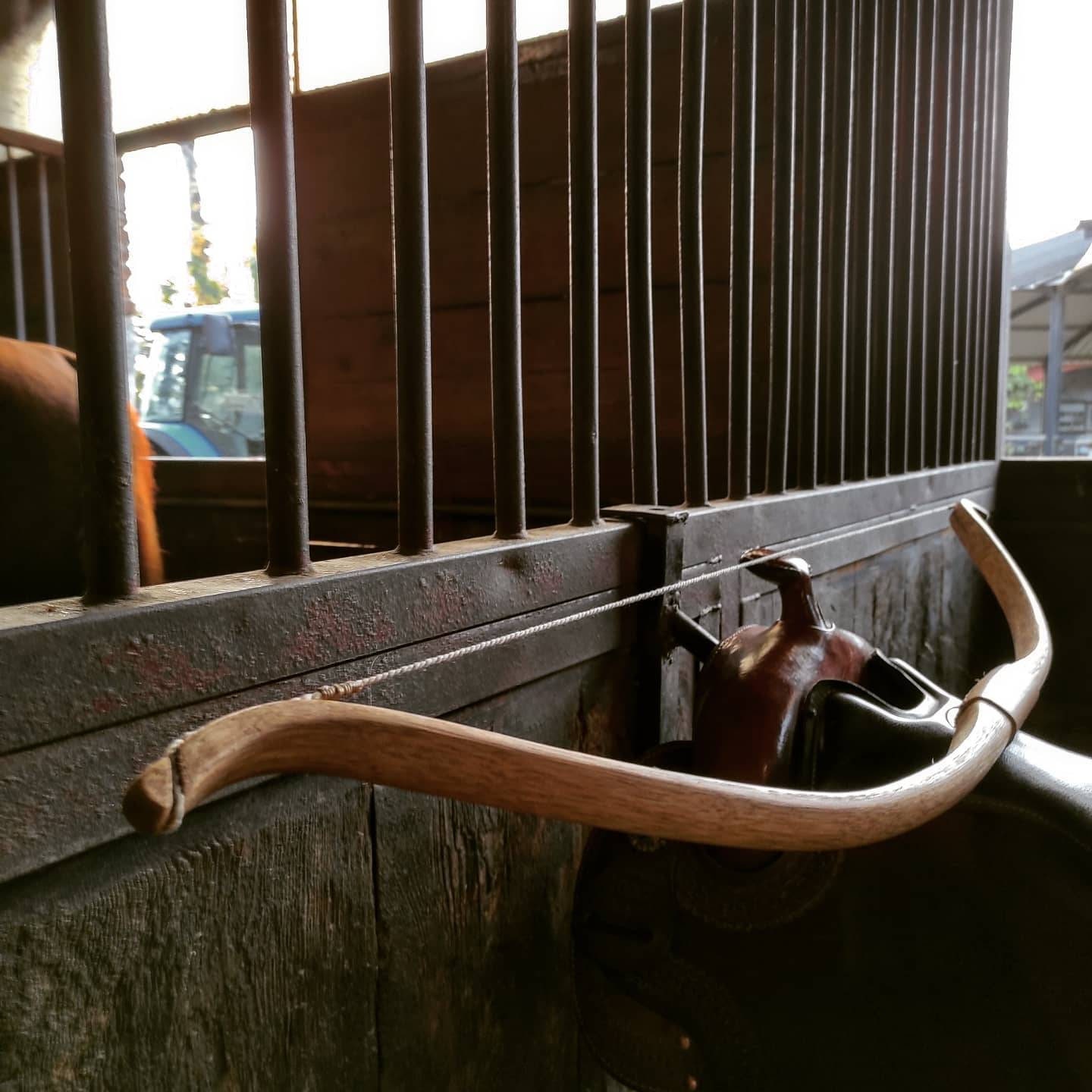 Wooden Eastern Monolithic Horse Bow - Etsy