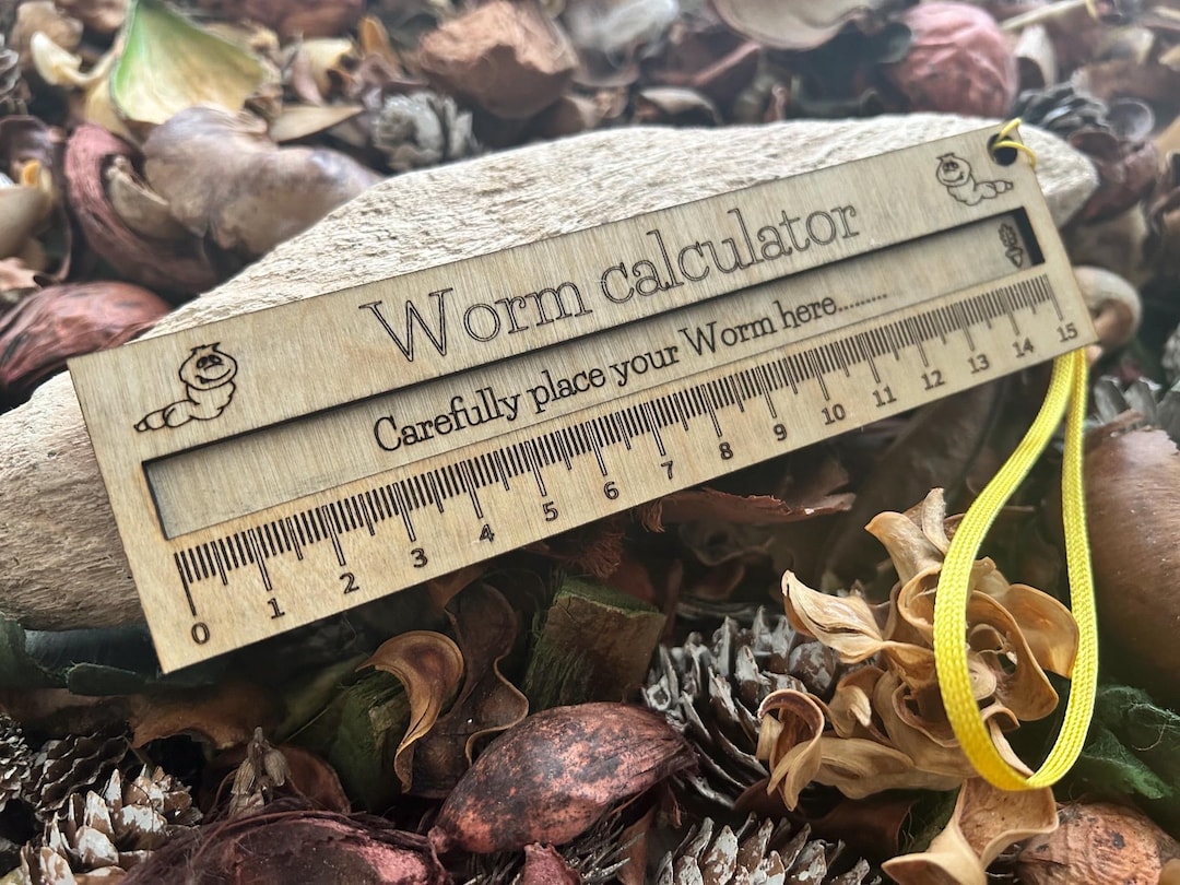 Worm Calculator, Forest School Worm Measurer, - Etsy