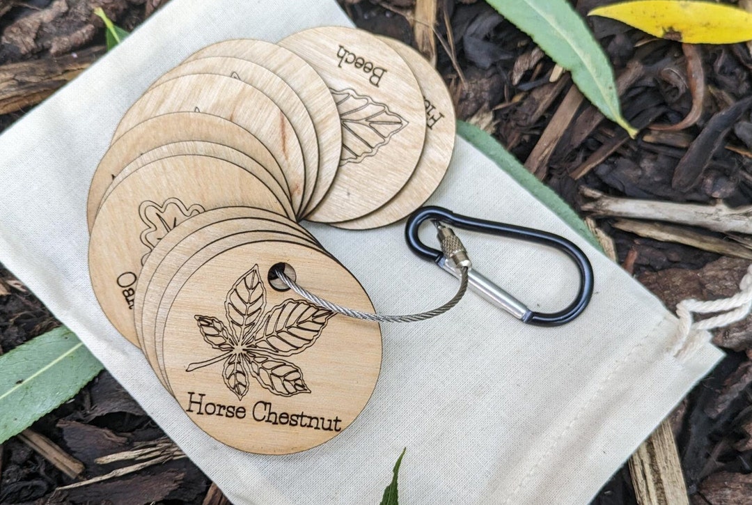 Leaf Identification Discs: UK Tree Leaves, Forest School Gift - Etsy UK