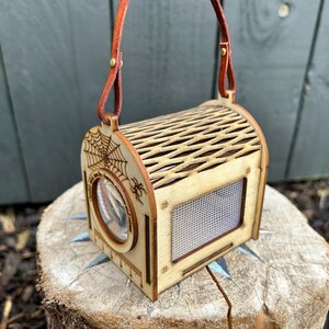 Personalized Insect Observation Box - Custom Bug Viewing Kit ...