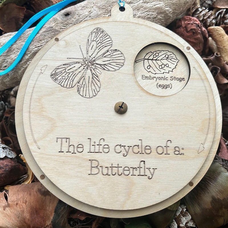 Littlelearnersfs - Etsy