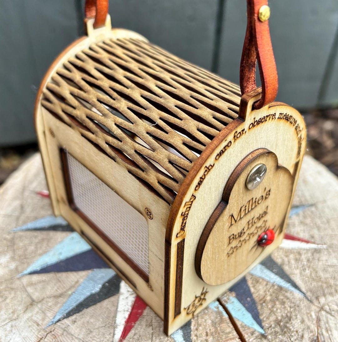 Personalized Insect Observation Box - Custom Bug Viewing Kit ...