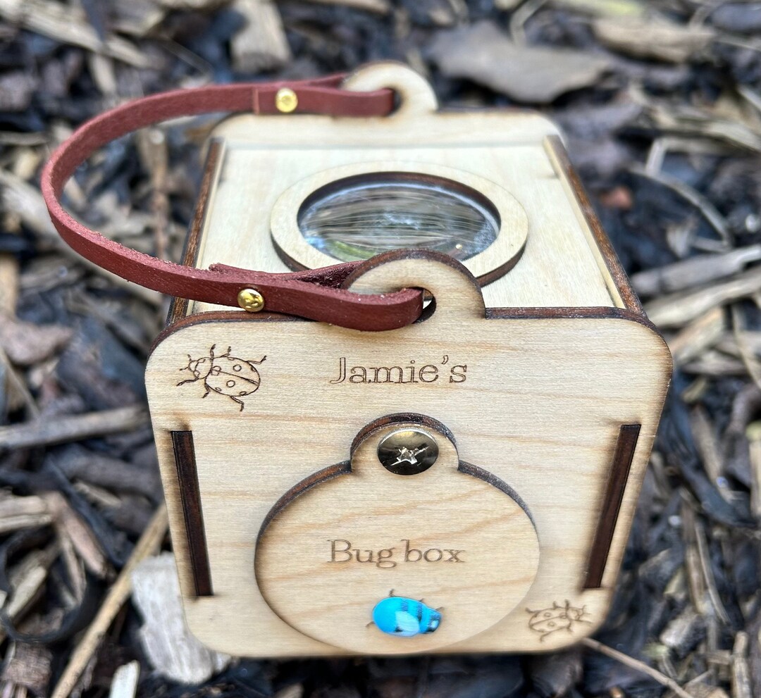 Portable Insect Bug Box Collection Box Parent-child Outdoor Forest ...