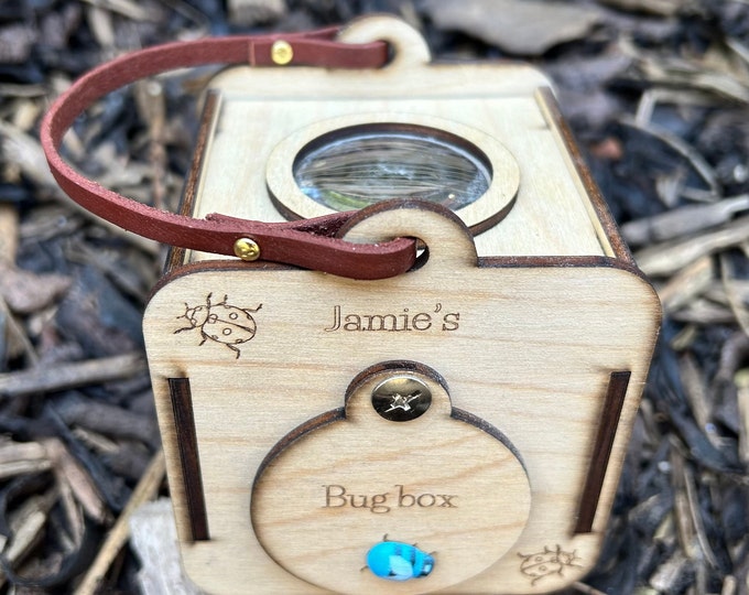 Personalized Bug Box Bug Box for Children Critter Cage Reptile ...