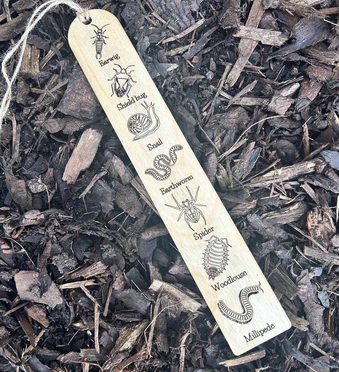 Leaf Identification for Forest School and Outdoor Education - Etsy