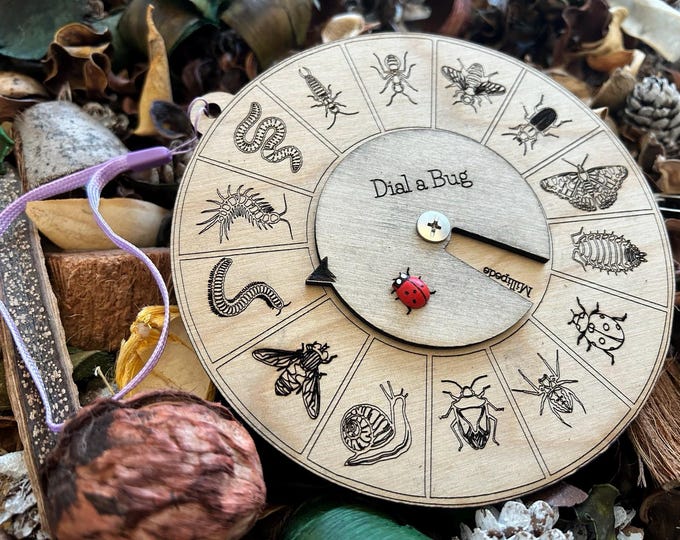 Loose Parts Insect/bug Exploration, Build a Bug, Fine Motor Skills ...