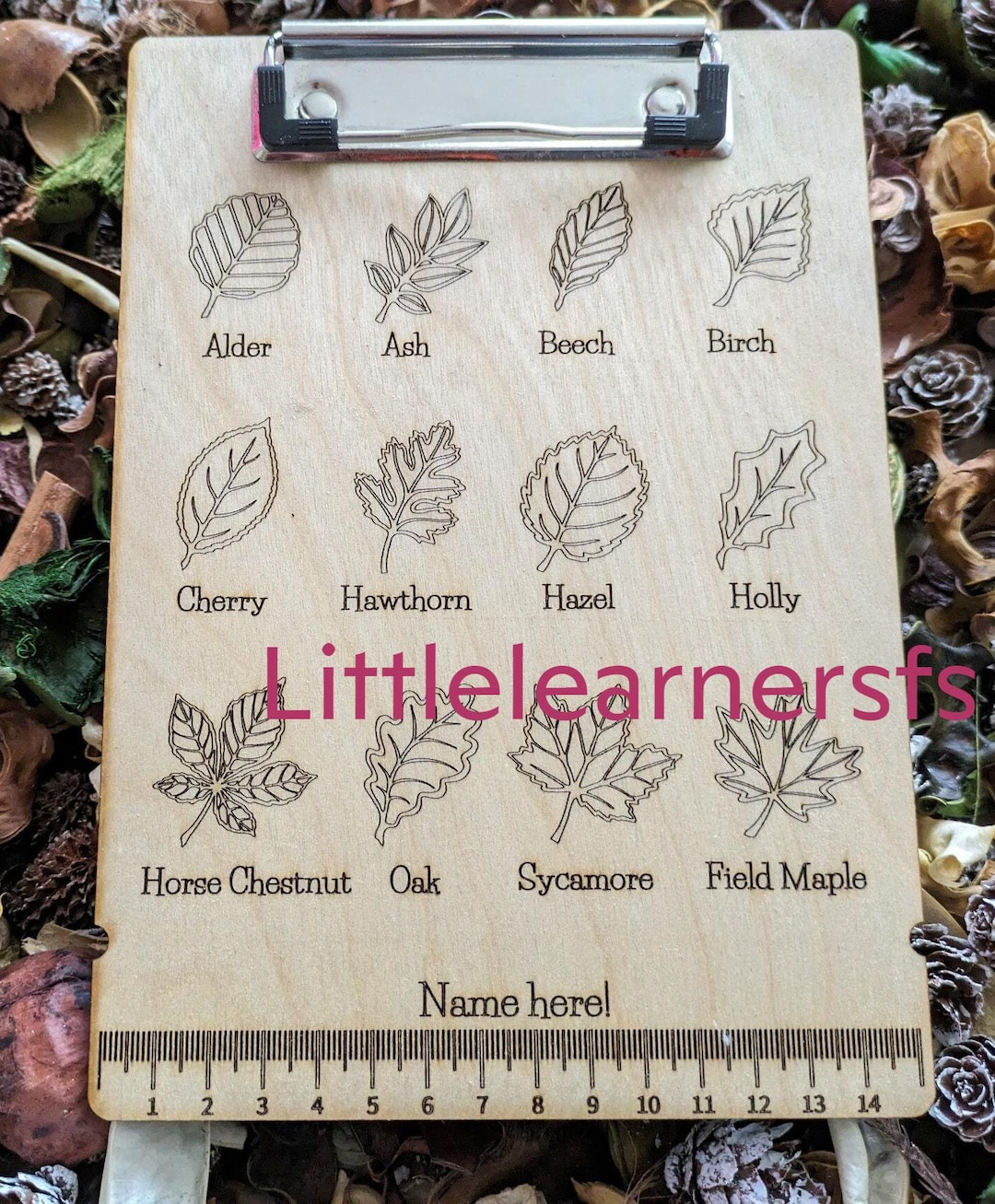 Birch Leaf ID Clipboard - Ruler, Elastic Band, Forest School Aid - Etsy