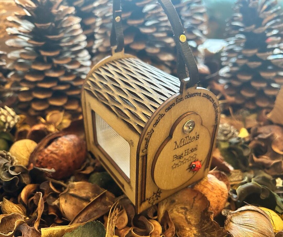 Personalized Insect Observation Box With Arched Viewing Roof Bug Hotel ...