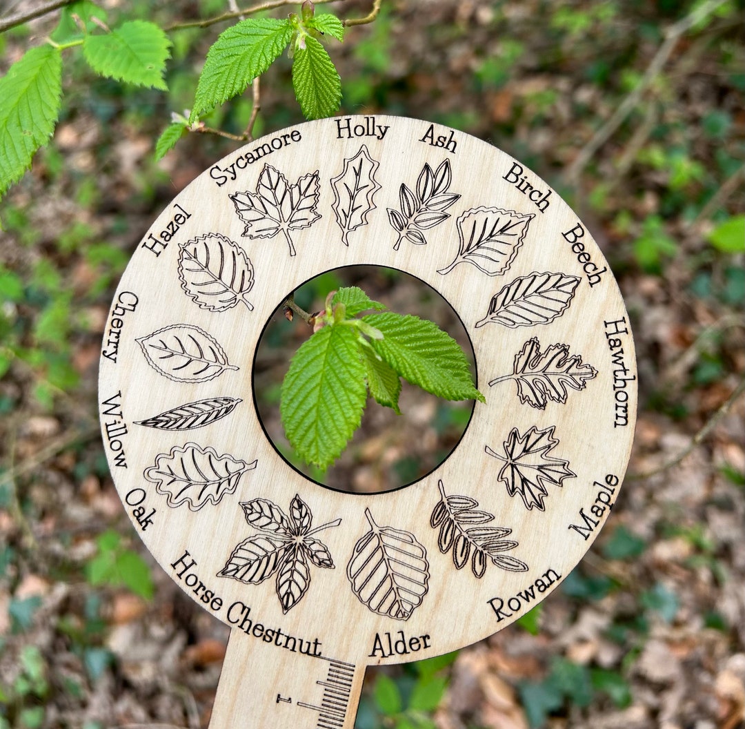 Leaf Id Lollipop, Personalised Teachers Gift, Birthday Leaving Gift ...