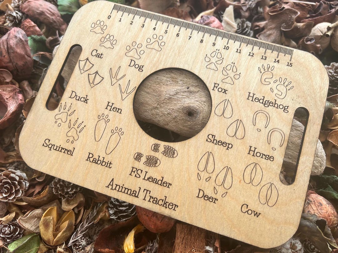 Animal Track Identification Board: Birch Plywood Tracker Tool - Etsy