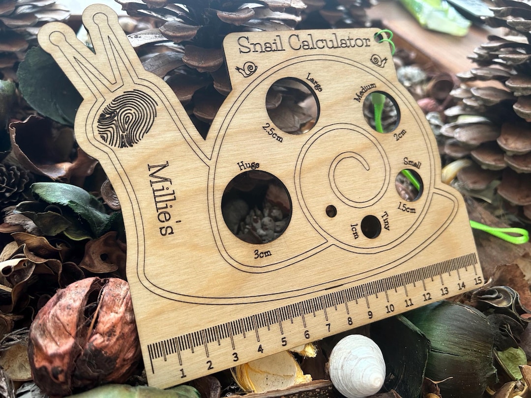 Forest School Snail Gauge - Precision Measuring Tool for Snails ...