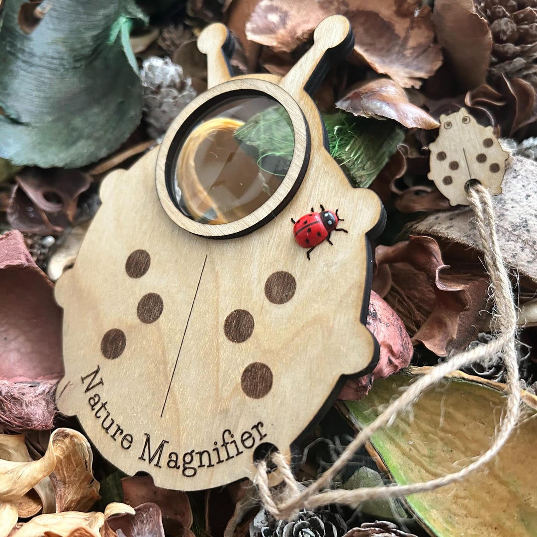 Ladybird Magnifier, Ladybug Magnifying Glass With Lanyard - Etsy