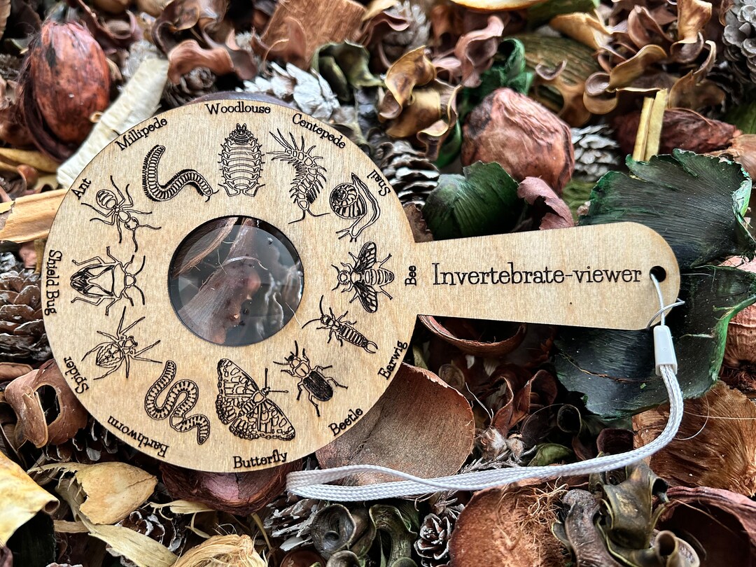 New Invertebrate Magnifying Glass for Bug Lovers, Identification ...