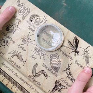Personalized Invertebrate Observation Tray - Teachers Gift - Forest ...