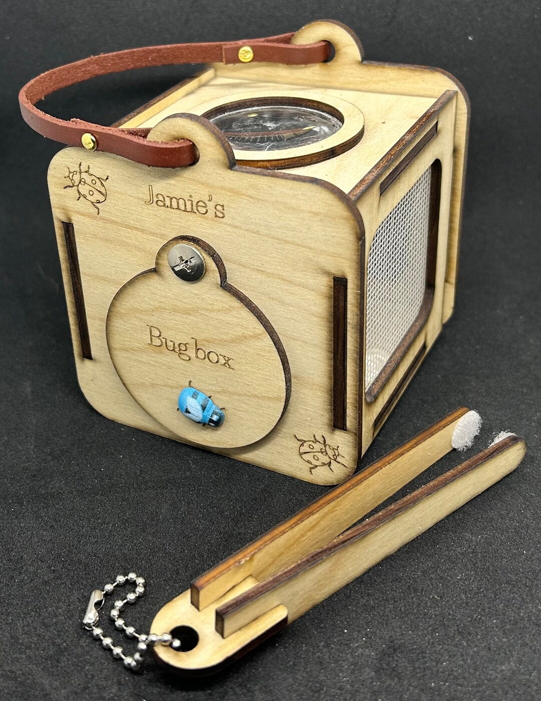 Portable Insect Bug Box Collection Box Parent-child Outdoor Forest ...