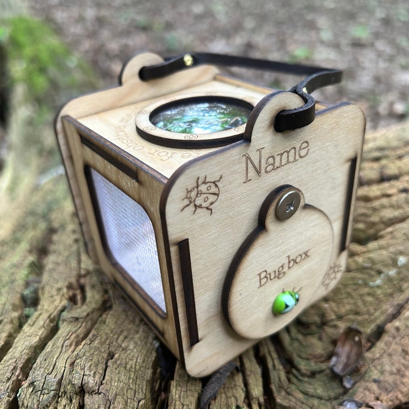 Bug Box - Etsy