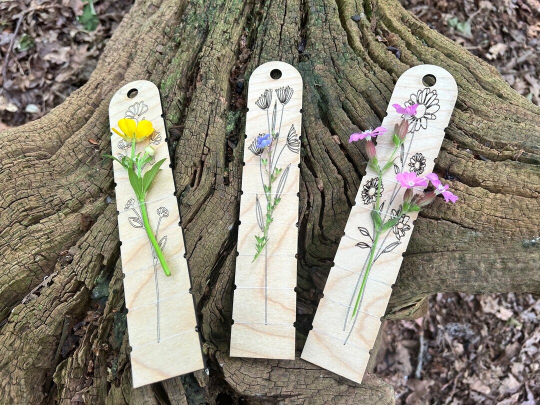 Scavenger Boards for Kids: Nature Discovery - Birch Wood, Elastic Bands ...